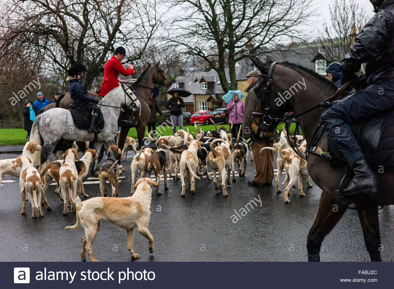 Jedforest Hunt Stock Photos & Jedforest Hunt Stock Images - Alamy
