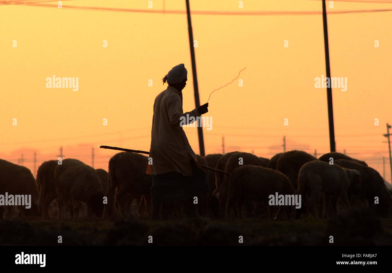 Allahabad, Uttar Pradesh, India. 26th Dec, 2015. Allahabad: An Indian ...