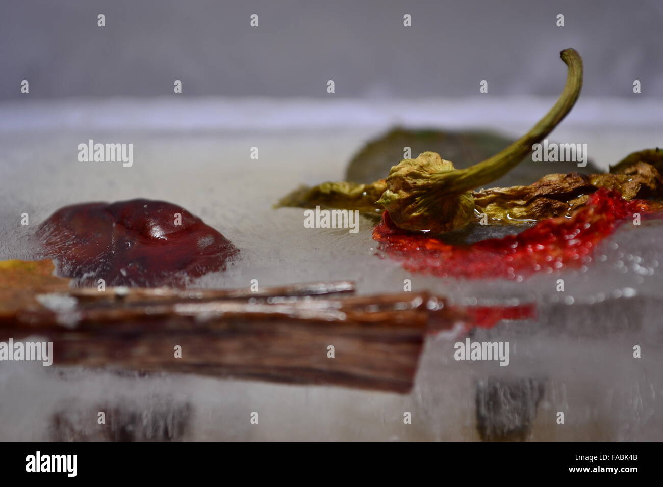 Frozen peppers chestnut wood leaf in ice Stock Photo - Alamy