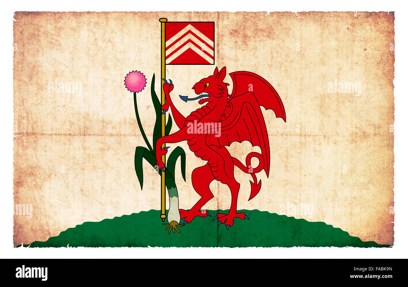 Cardiff wales flag hi-res stock photography and images - Alamy