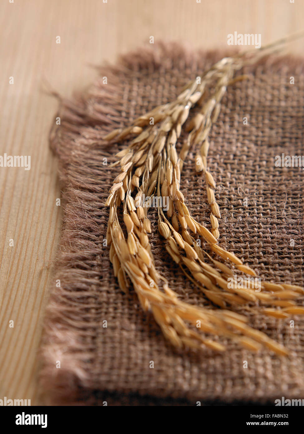 paddy on the sack cloth Stock Photo - Alamy