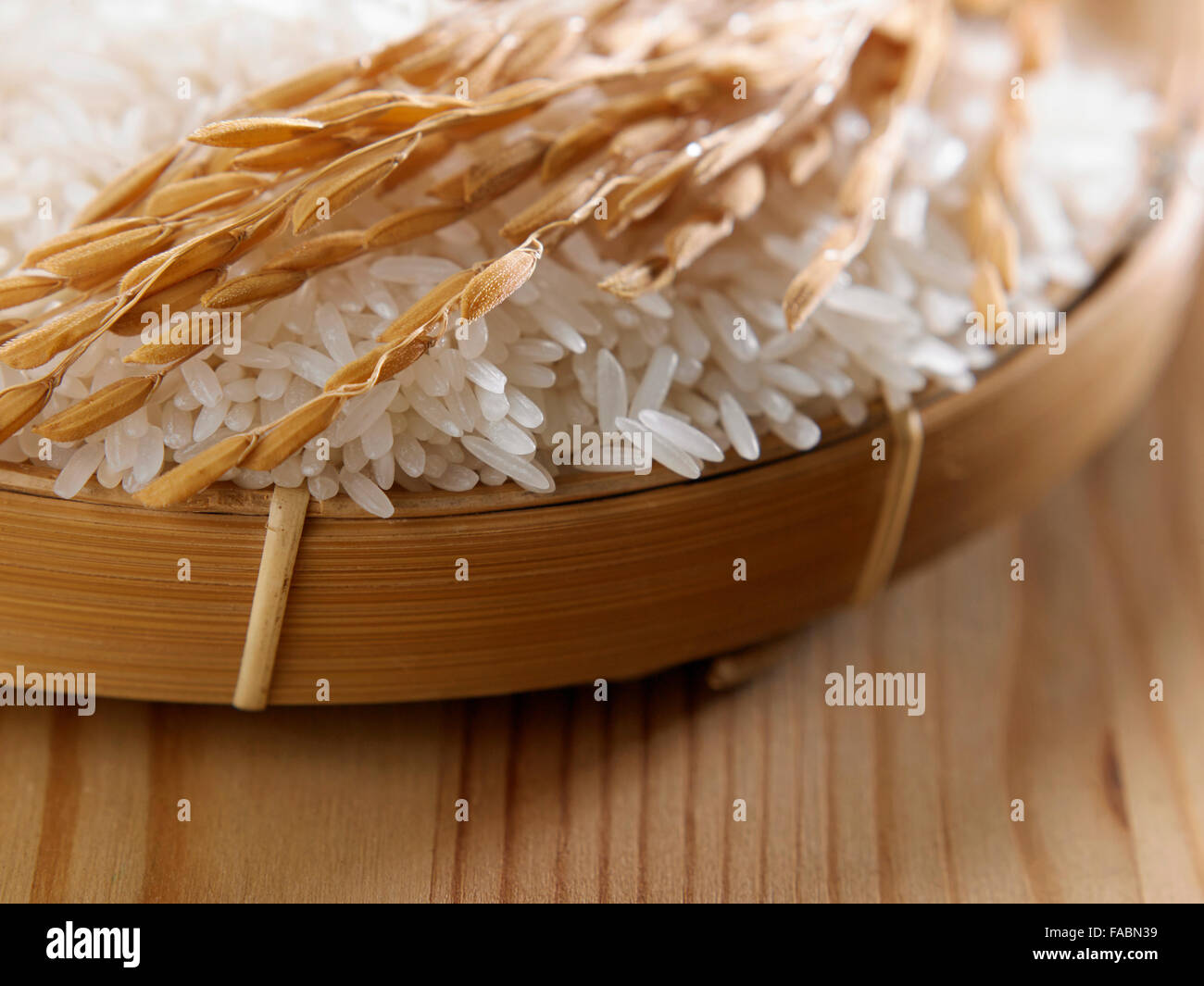 close up of the white rice and paddy Stock Photo - Alamy