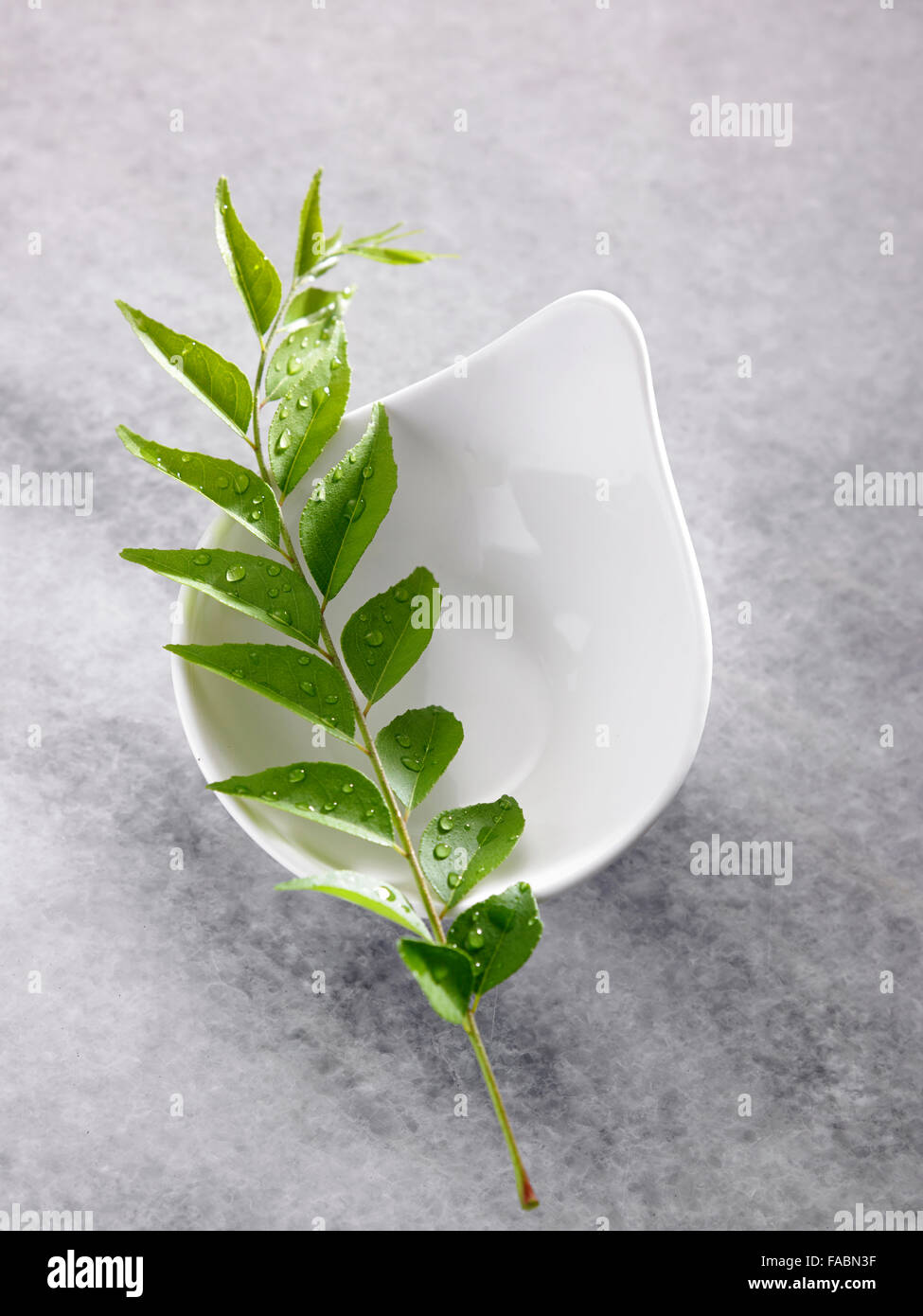 Top view of fresh curry leaf Stock Photo - Alamy
