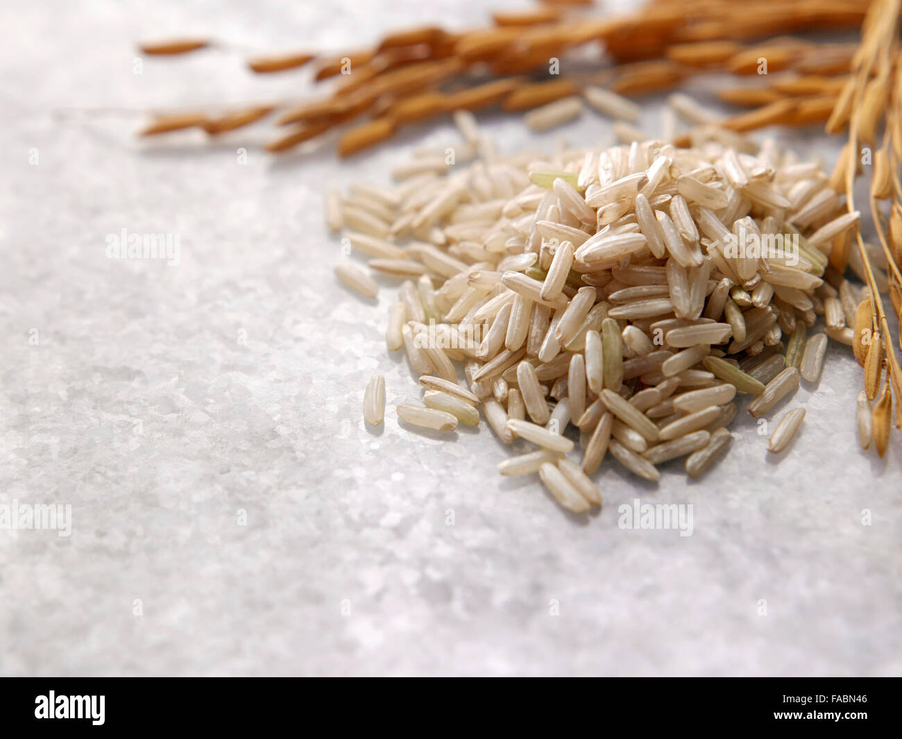 close up of the brown rice and paddy Stock Photo - Alamy