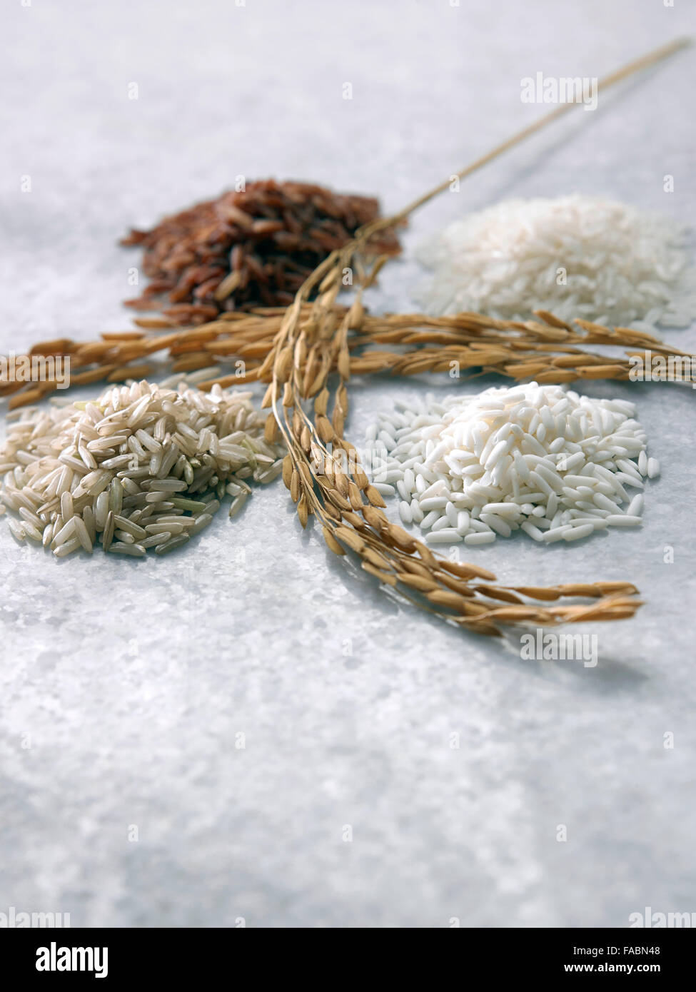 Top view variety of rices Stock Photo - Alamy