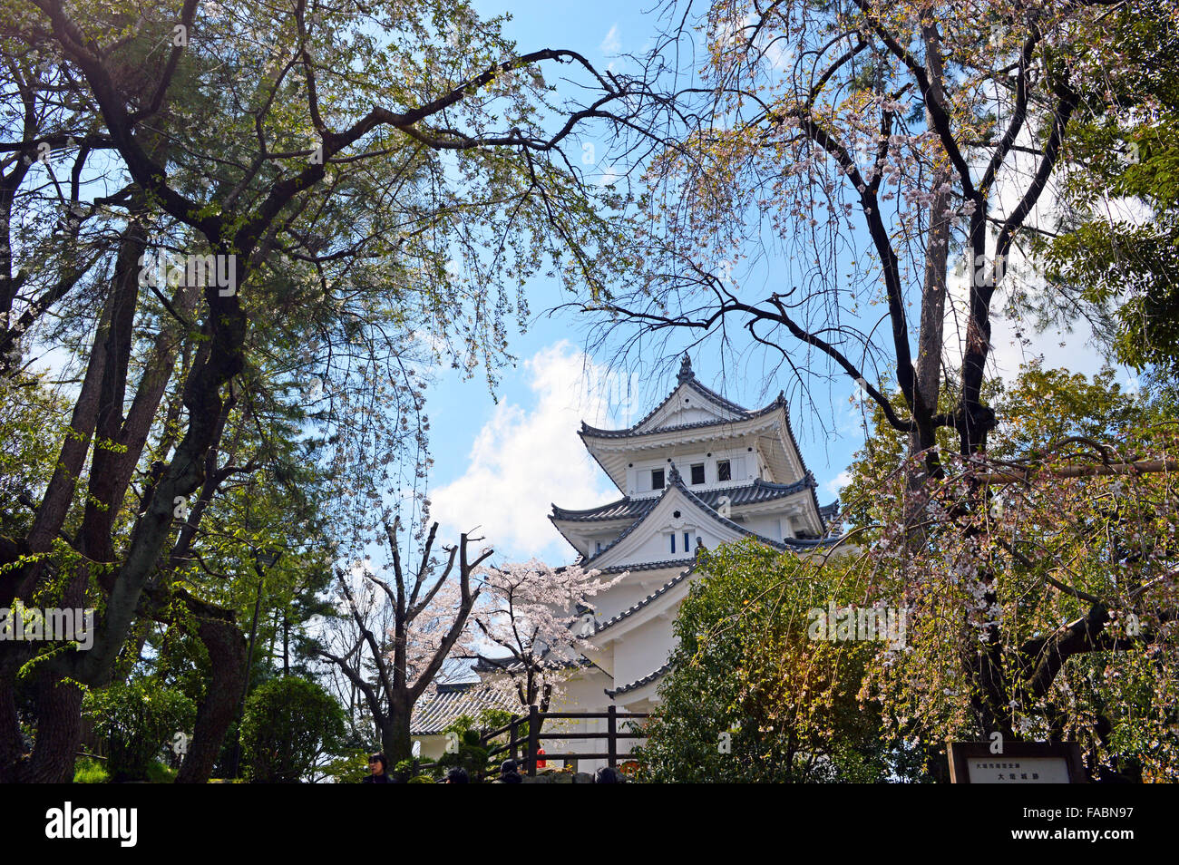 Ogaki castle in Japan Stock Photo - Alamy