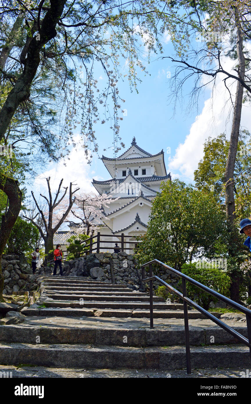Ogaki castle with cherry blossoms in Japan Stock Photo - Alamy