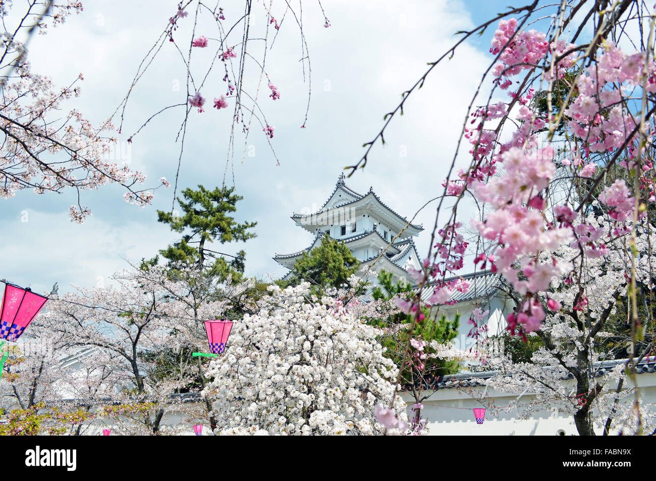 Ogaki castle hi-res stock photography and images - Alamy