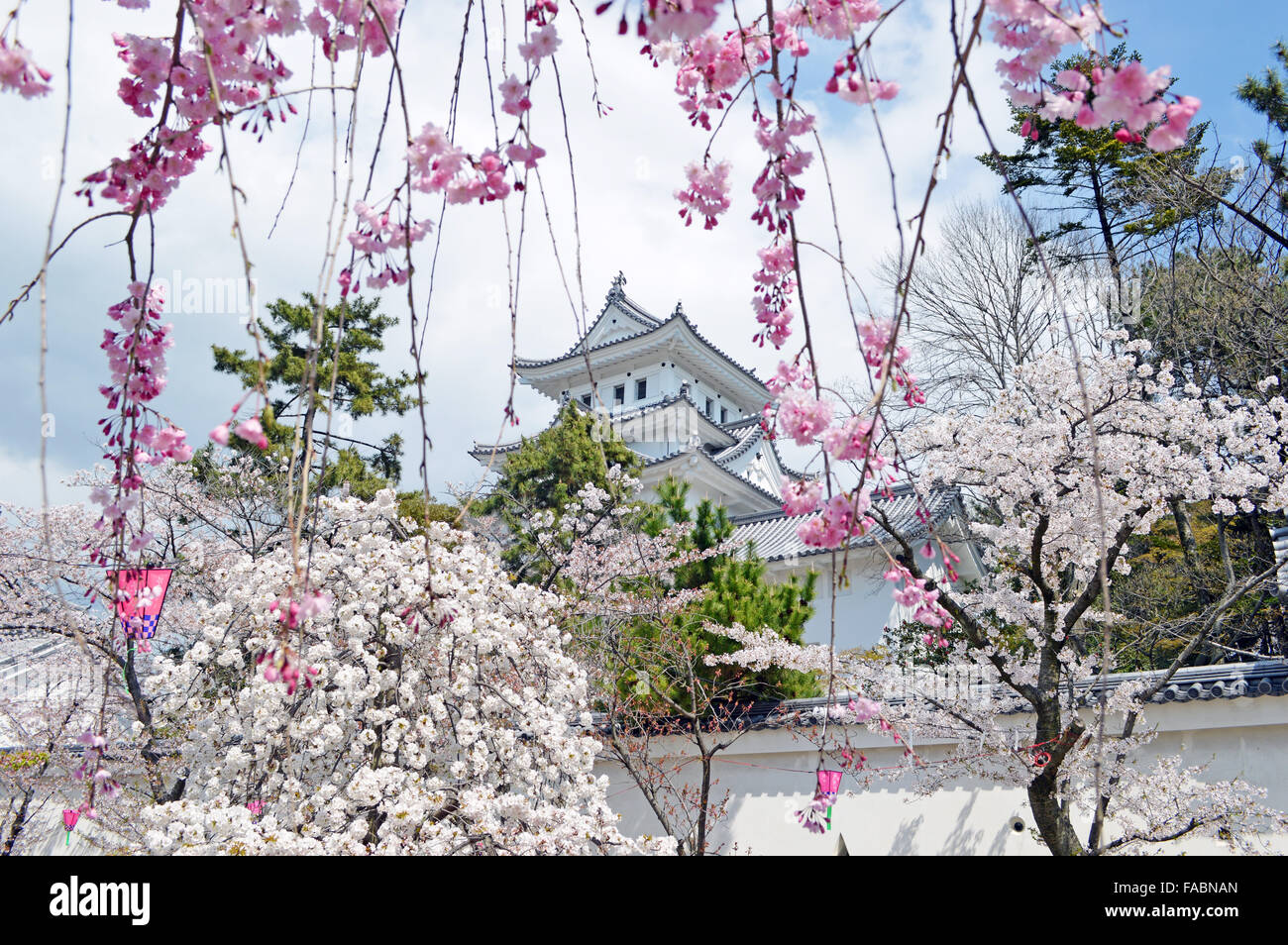 Ogaki castle in Japan Stock Photo - Alamy