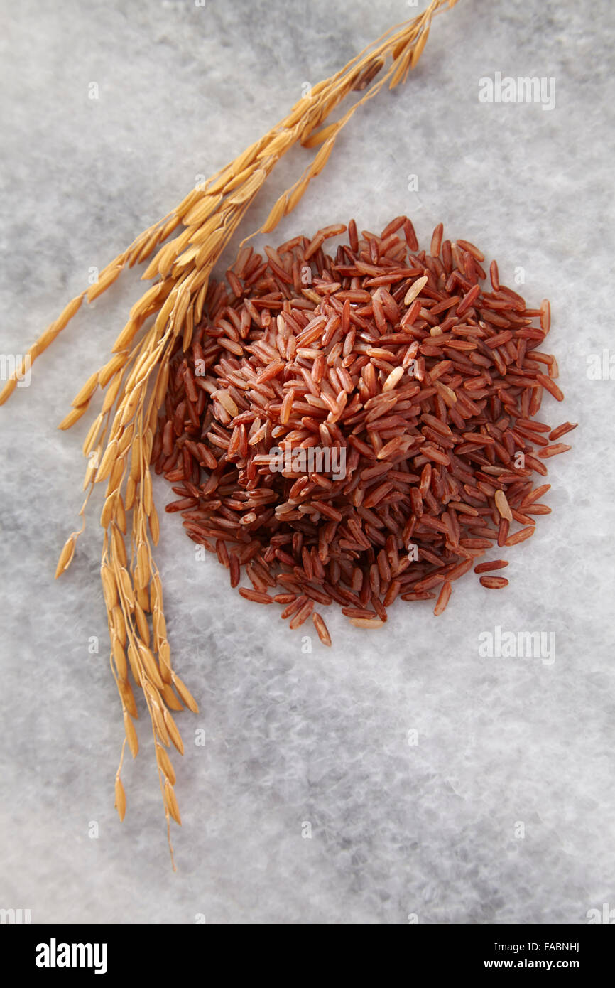 top view of the brown rice and the paddy Stock Photo - Alamy