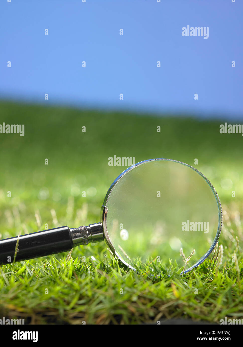 magnifying glass on the grass Stock Photo - Alamy