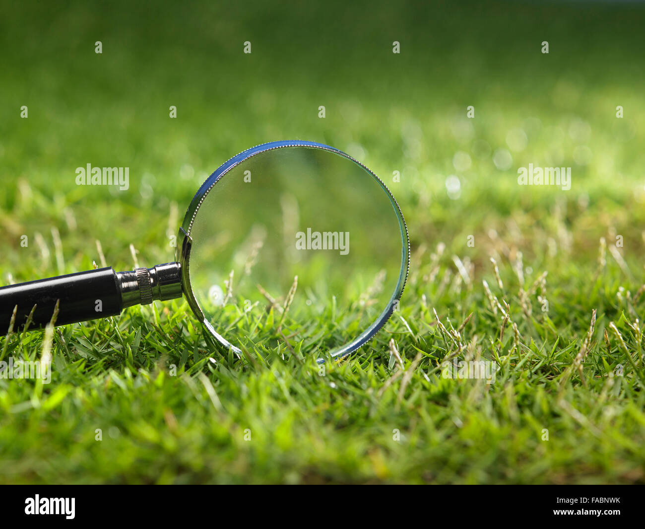 magnifying glass on the grass Stock Photo - Alamy