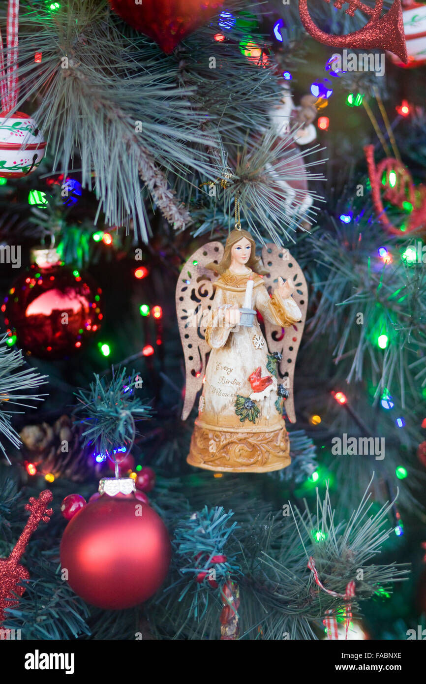 Real fir hi-res stock photography and images - Alamy