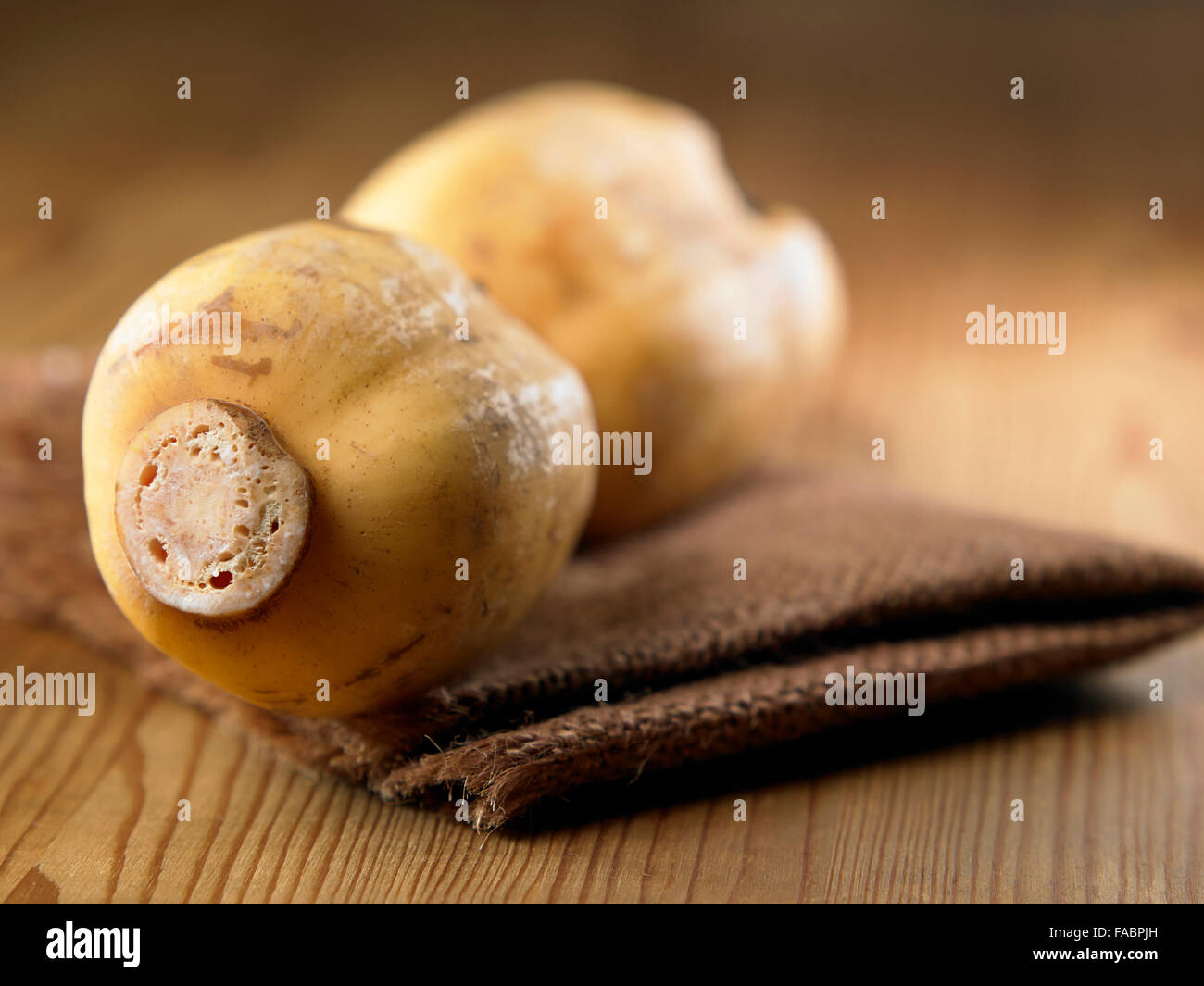 close up of the lotus root Stock Photo - Alamy