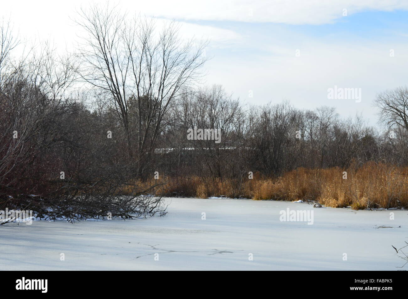Frozen wetland water hi-res stock photography and images - Alamy