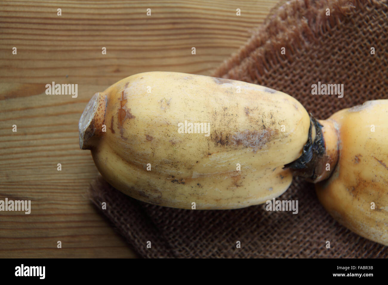 close up of the lotus root Stock Photo - Alamy