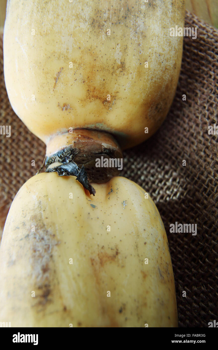 close up of the joint of lotus root Stock Photo - Alamy