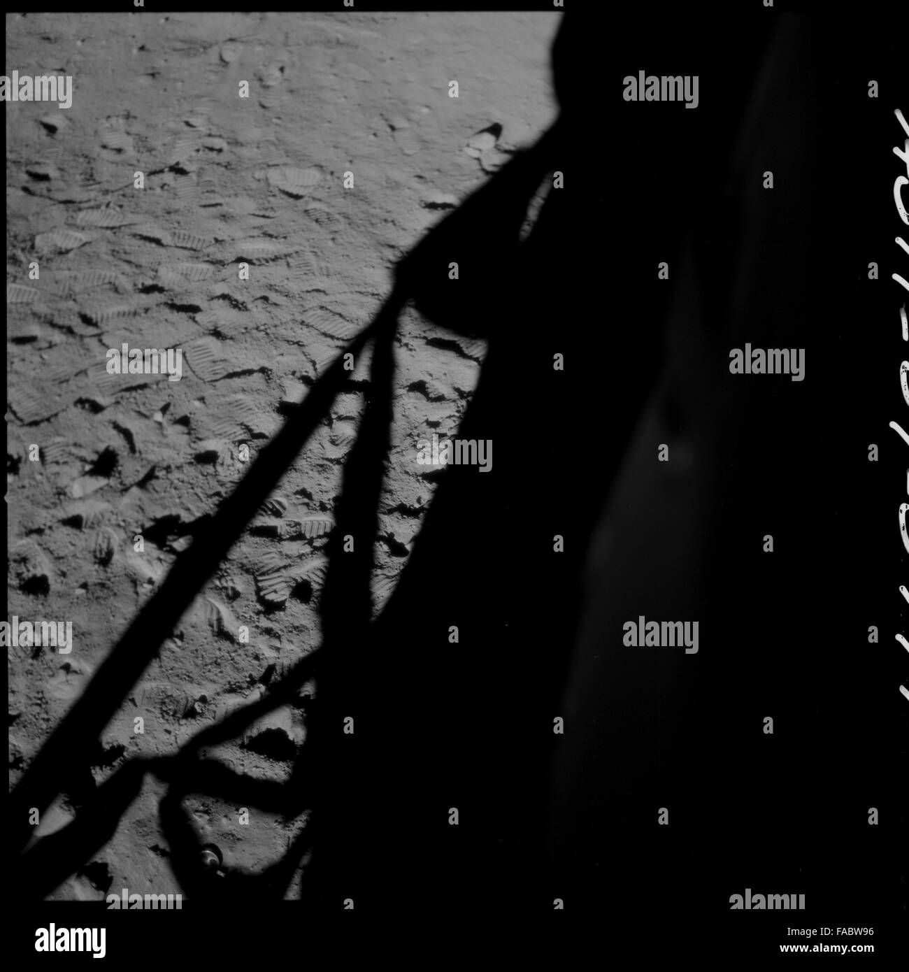 The Apollo 11 mission's unedited photo archive features the iconic ...
