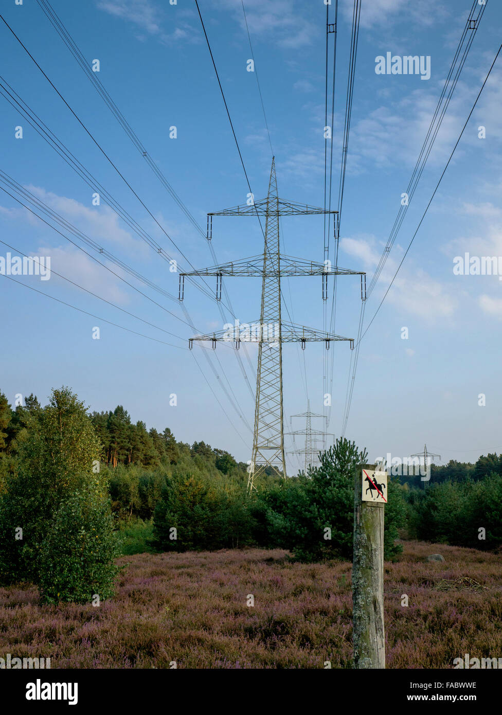 High voltage power line spanning the Lüneburger Heide near Mechtersen ...