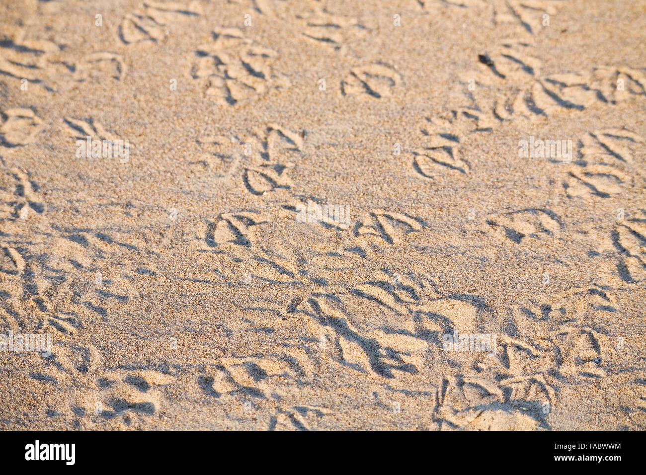 Background red granular sand hi-res stock photography and images - Alamy