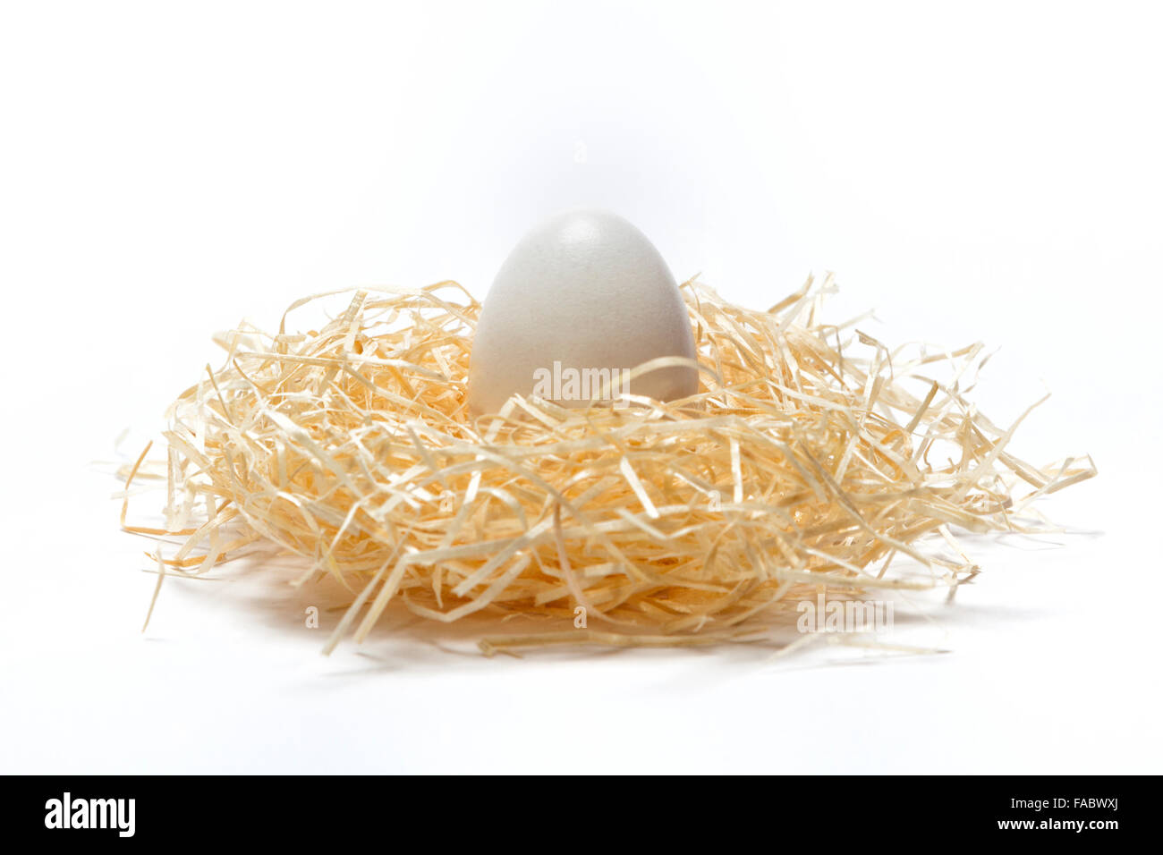 White egg in nest on a white background Stock Photo - Alamy