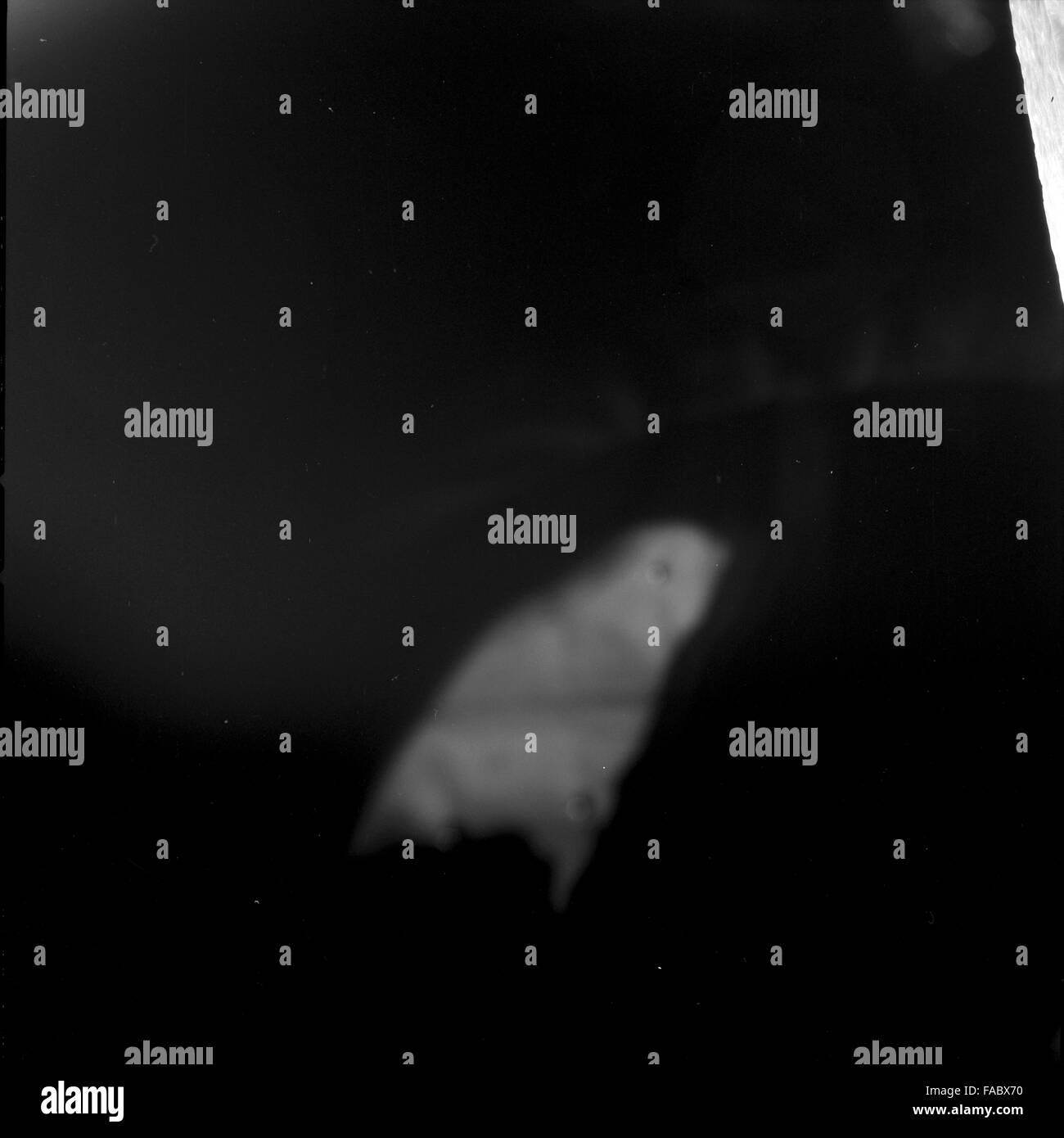 The Apollo 11 untouched photographic archive documents the first manned ...