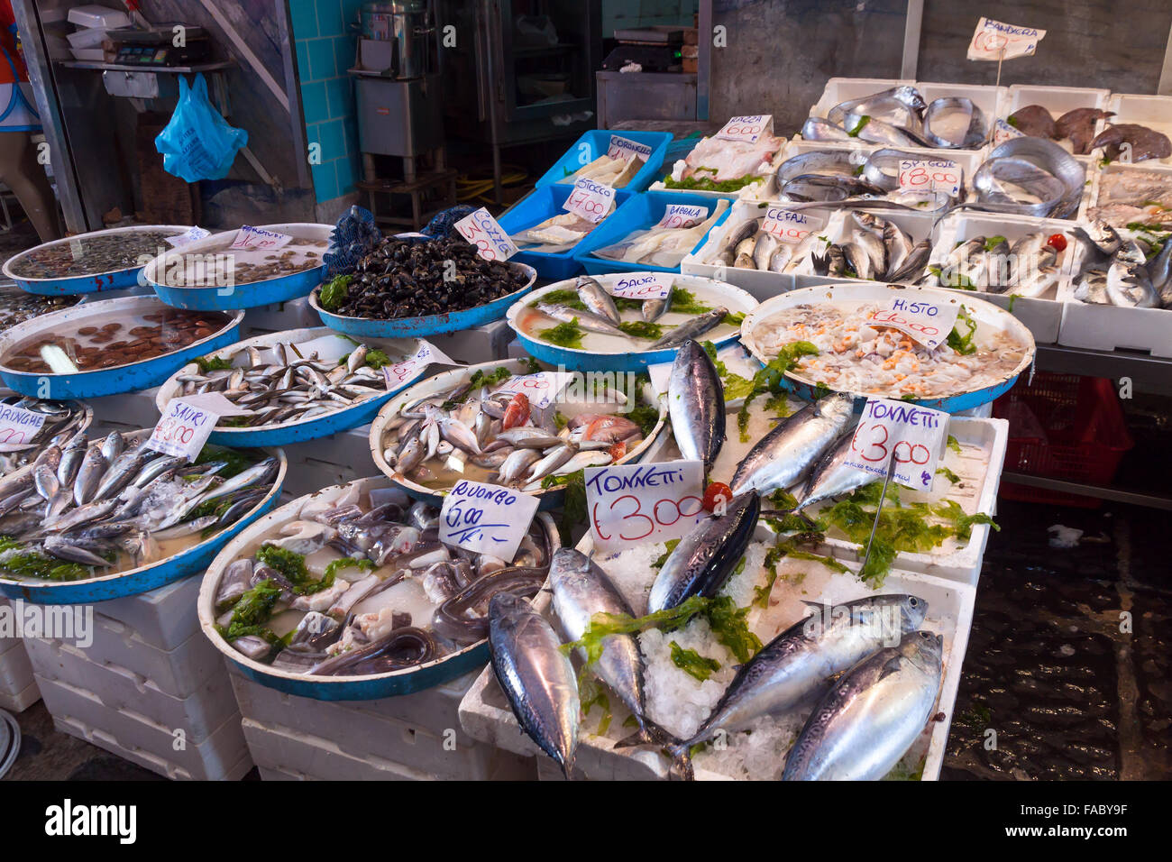 Italian Fish Market Genoa, Liguria, Italy September 11, 2019: