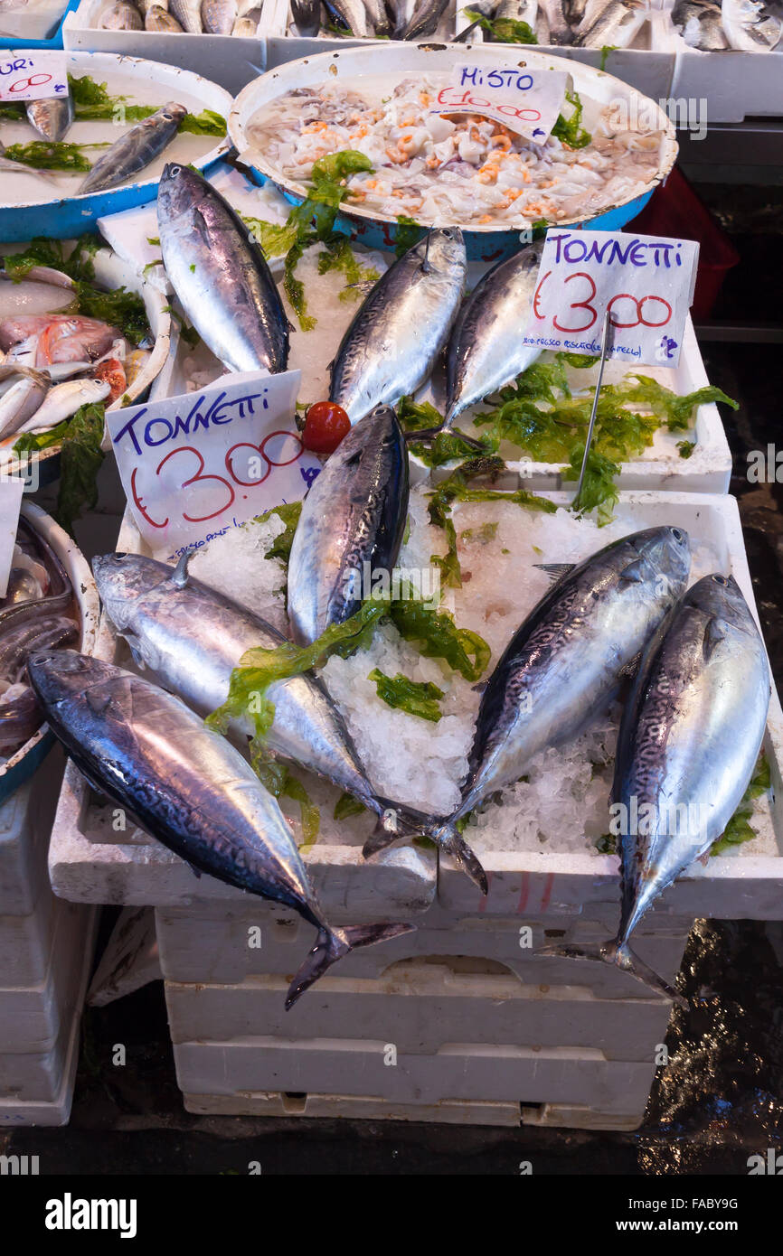 Cefali spagnia public cheap label hi-res stock photography and images ...