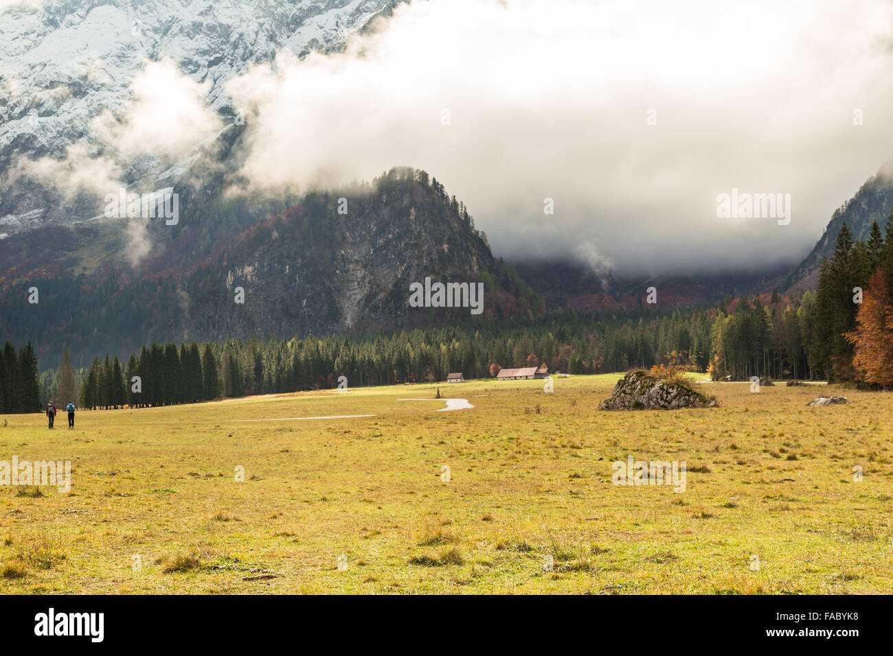 two girls walking in the forest in the italian alps Stock Photo - Alamy
