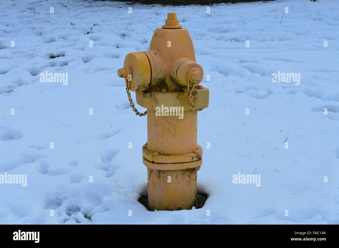 Fire hydrant yellow hi-res stock photography and images - Alamy