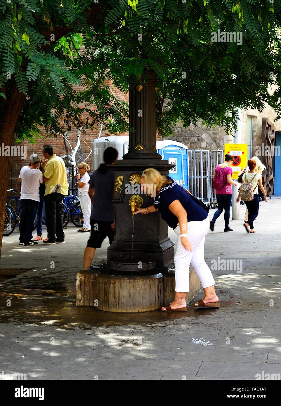 Testing the water at the water fountain Stock Photo - Alamy