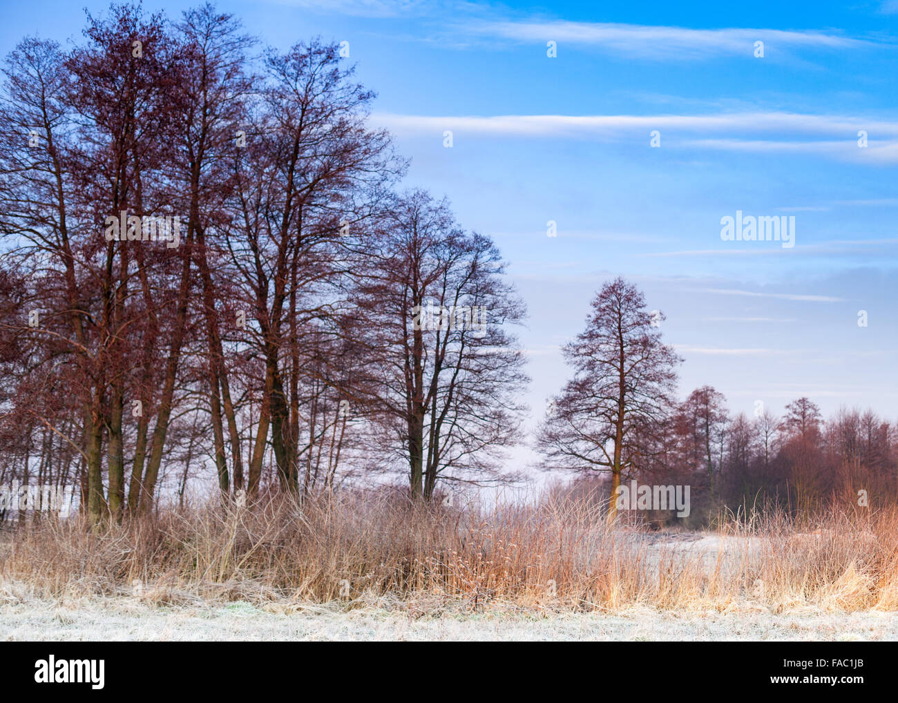 Wallpaper wintry hi-res stock photography and images - Alamy