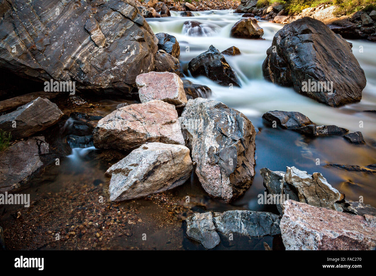 Rapid water flowing through the Cache la Poudre River in the Roosevelt ...