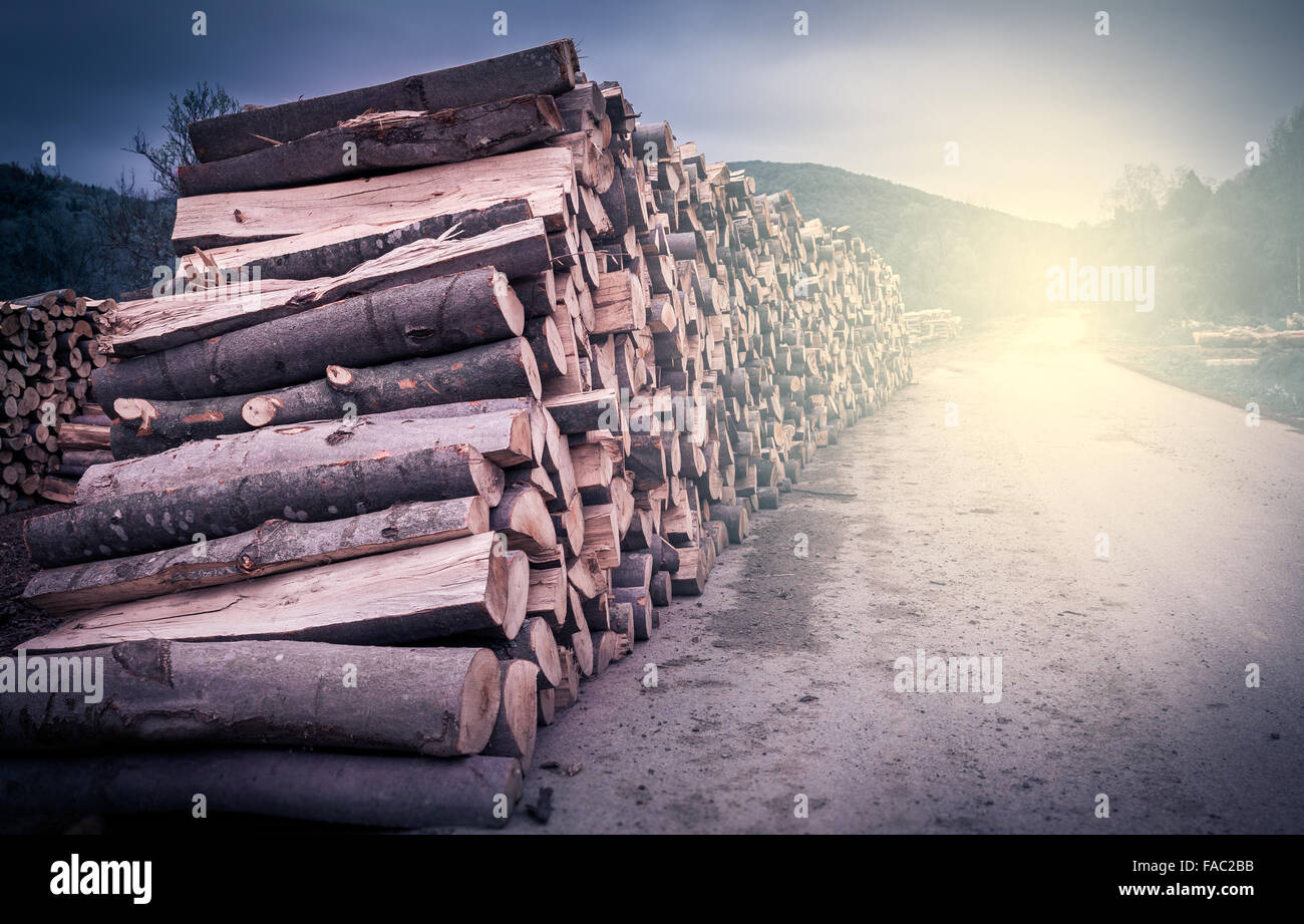 Log transportation hi-res stock photography and images - Alamy