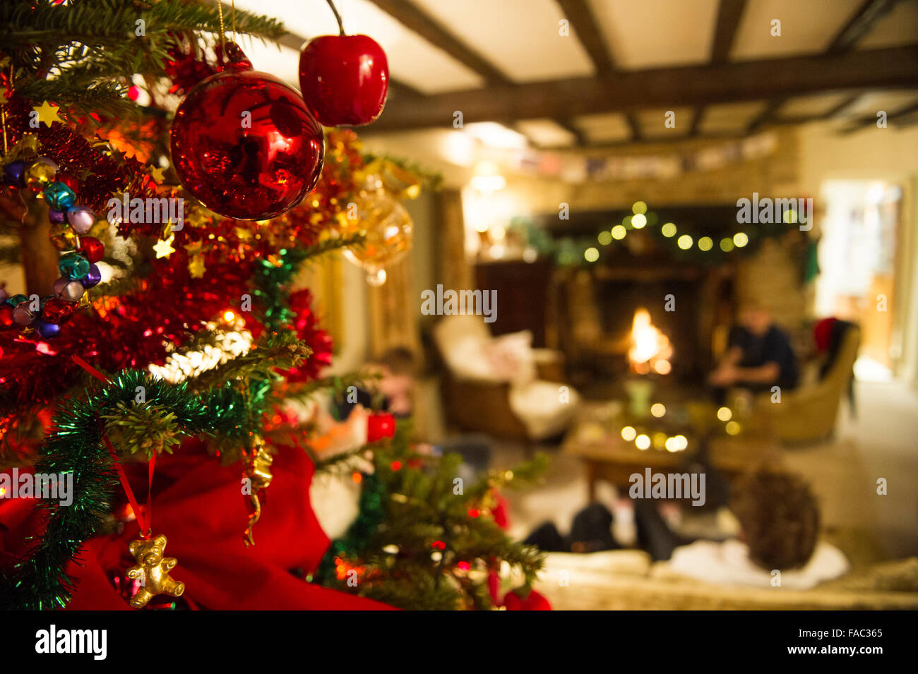 A warm family scene on Christmas Day with a Christmas tree in a country ...