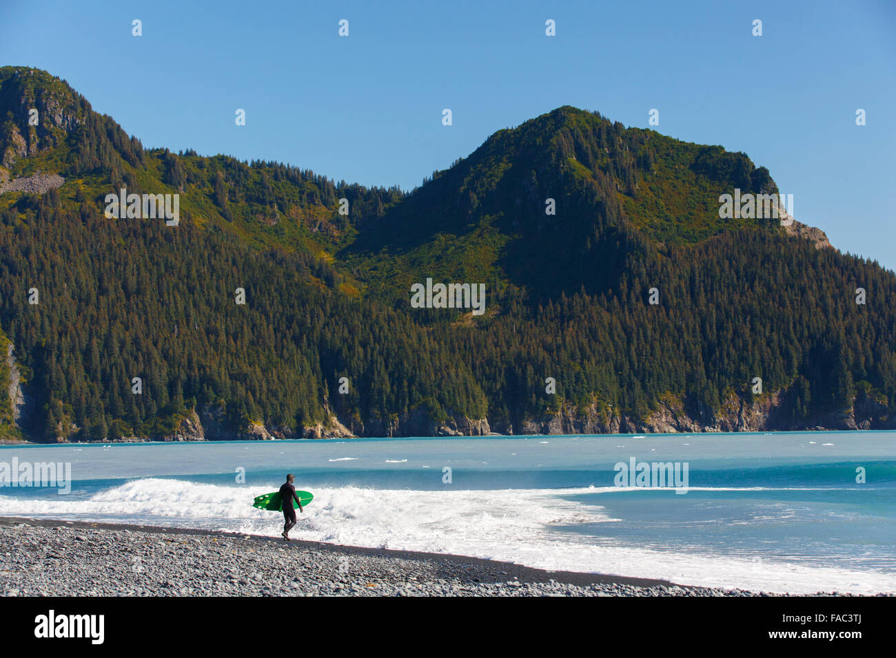 Surfing in front of Bear Glacier Lagoon, Kenai Fjords National Park ...
