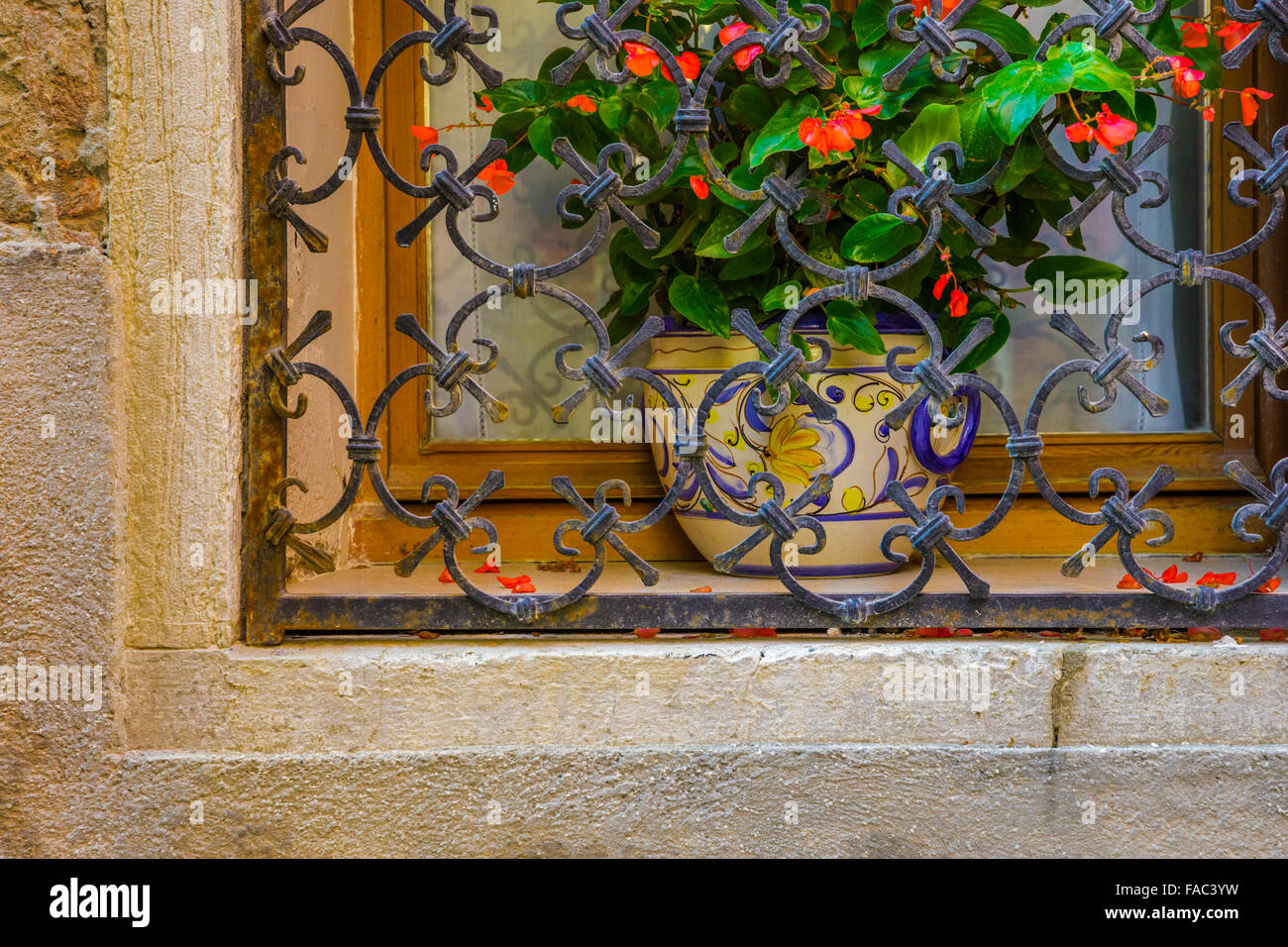 window grate with plant, Venice Stock Photo - Alamy