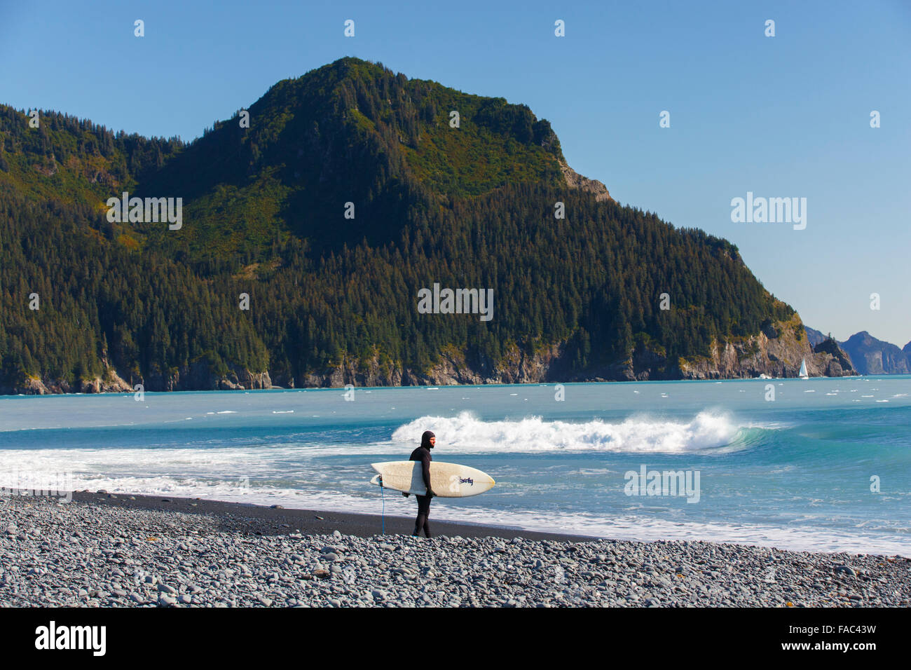 Surfing in front of Bear Glacier Lagoon, Kenai Fjords National Park ...