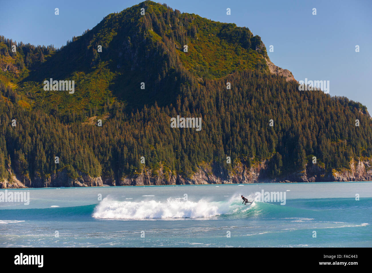 Surfing in front of Bear Glacier Lagoon, Kenai Fjords National Park ...