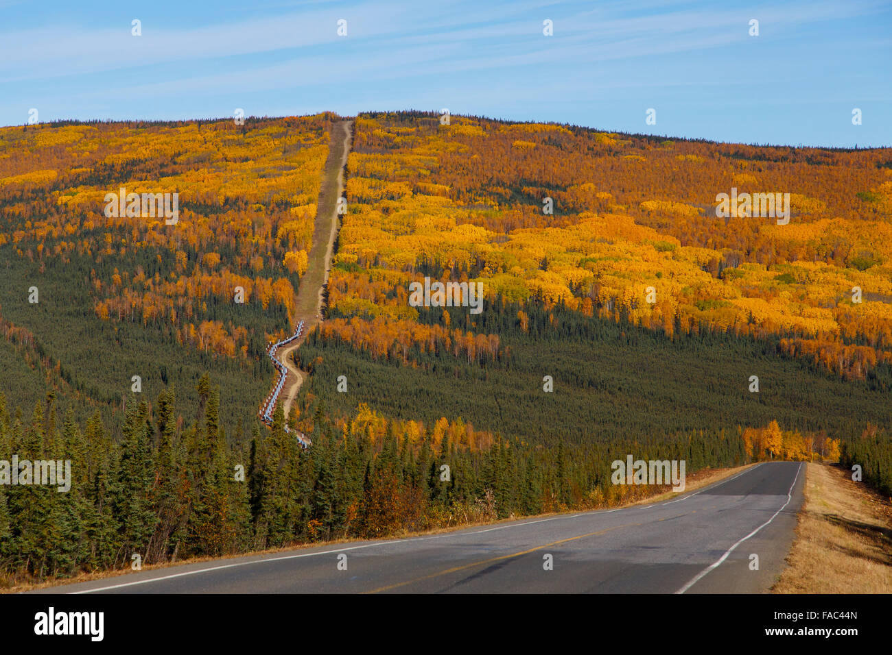 Alyeska Pipeline along the Dalton Highway, Alaska Stock Photo - Alamy