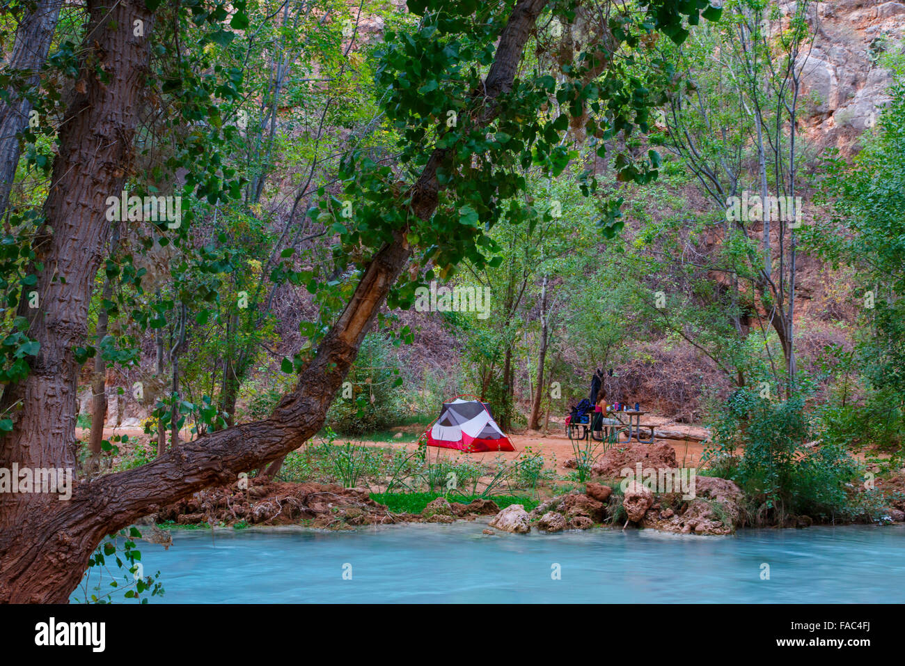 Campground at the base of Havasu Falls, Havasupai Indian Reservation ...