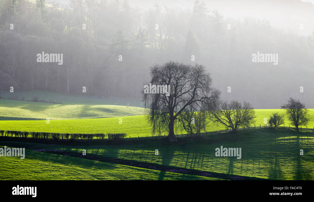 Welsh rain hi-res stock photography and images - Alamy