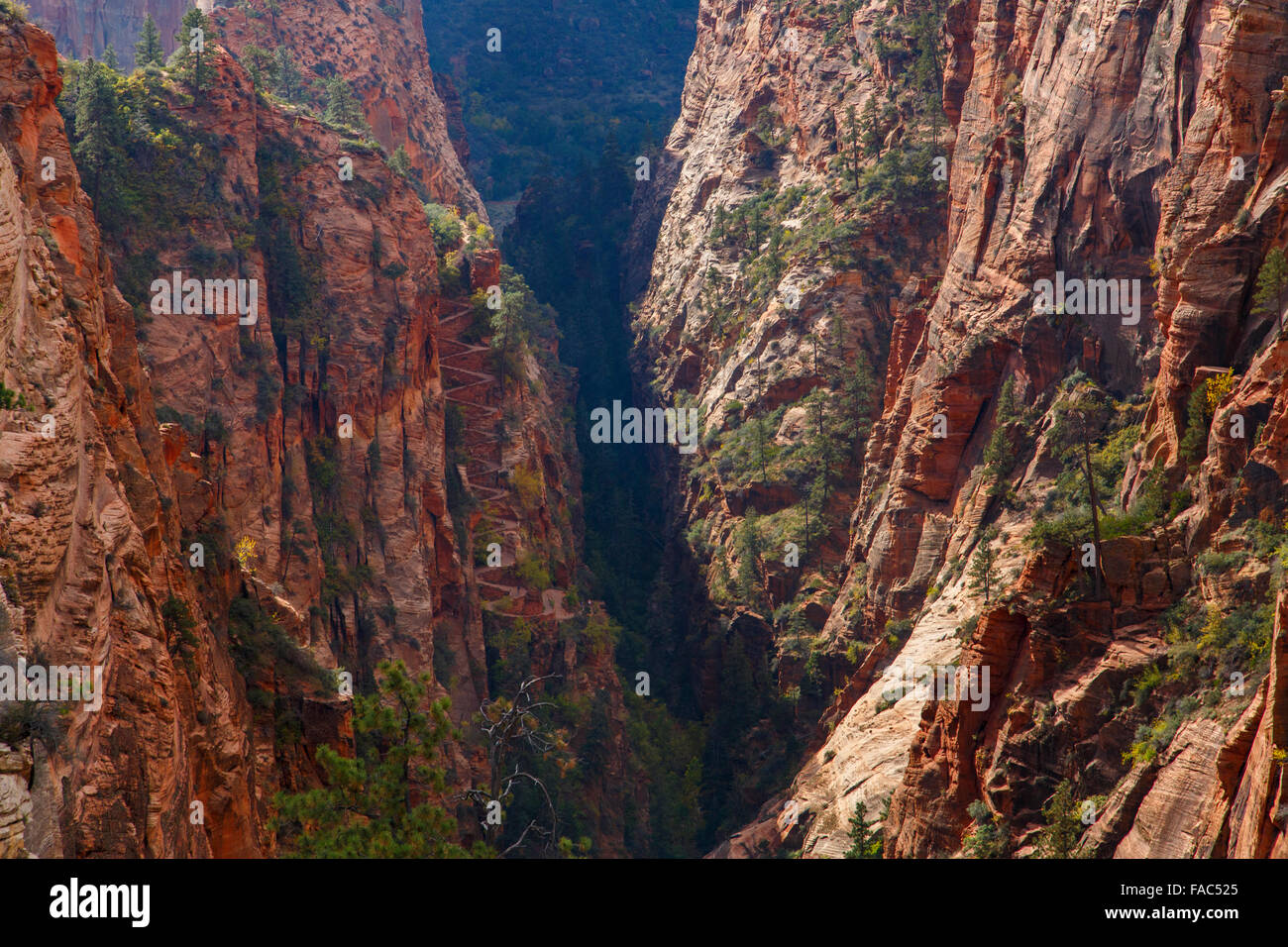 From the West Rim Trail, Zion National Park, Utah Stock Photo - Alamy