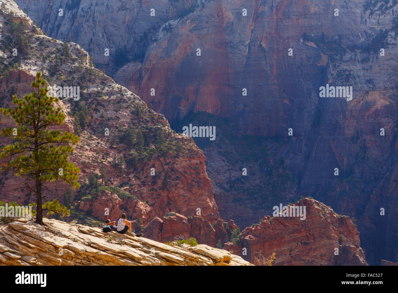 From the West Rim Trail, Zion National Park, Utah Stock Photo - Alamy