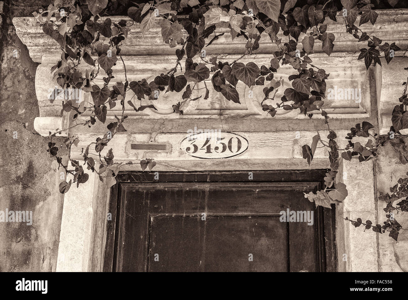 doorway facade with vines, Venice Stock Photo - Alamy
