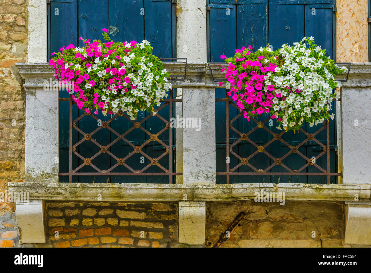 window shutters and balcony with flower box, Venice Stock Photo - Alamy