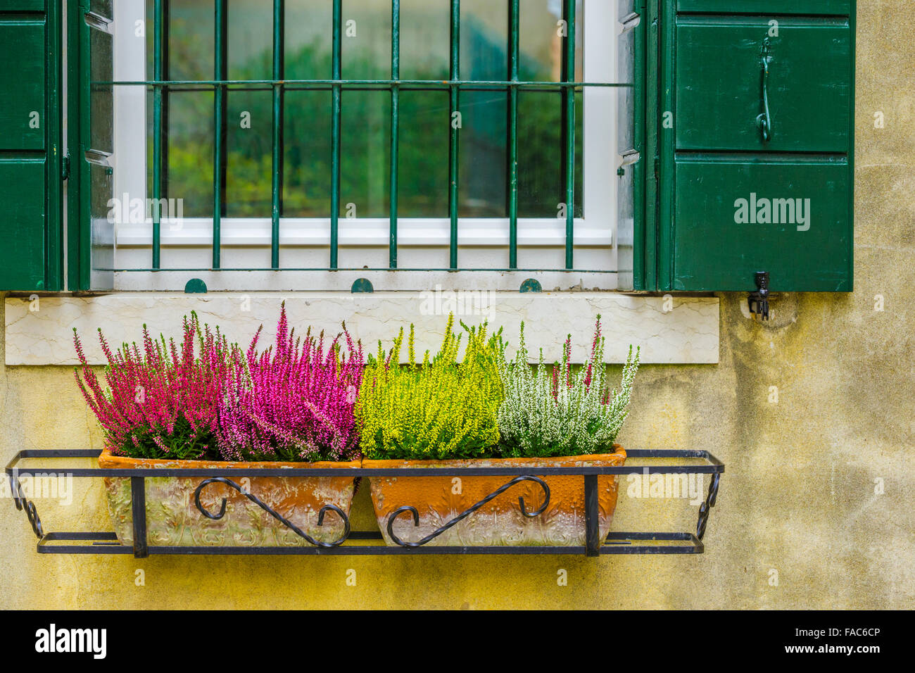 window box and flowers, Venice Stock Photo - Alamy