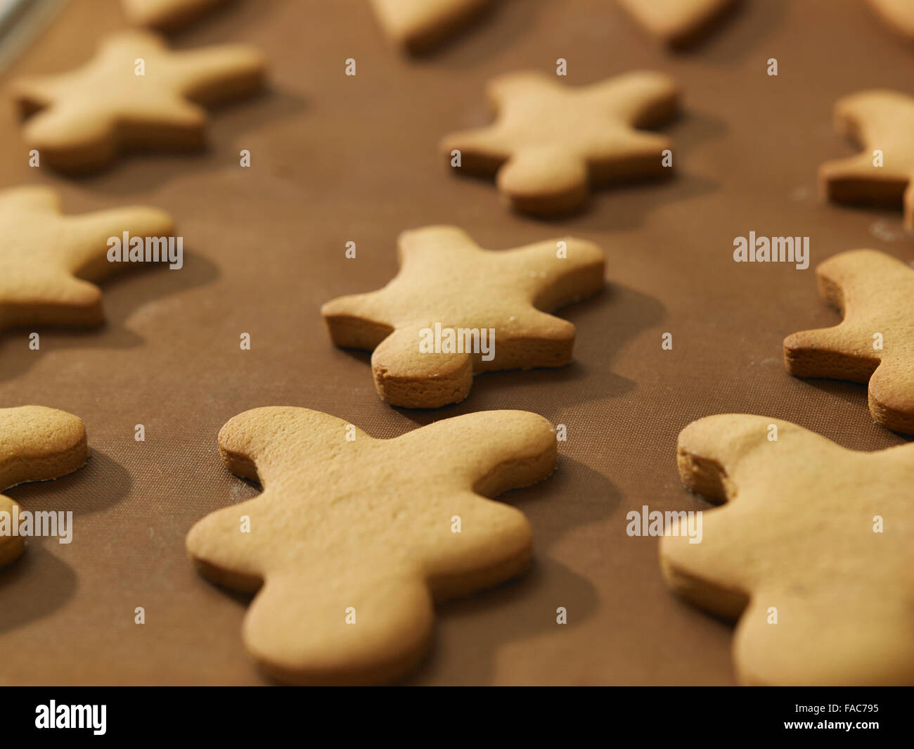 Plain gingerbread man on the tray Stock Photo - Alamy