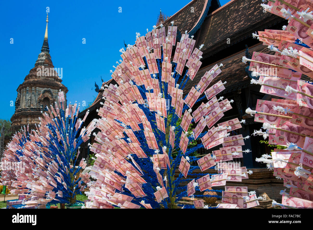 Money tree at a local temple in Chiang Mai, Thailand Stock Photo - Alamy