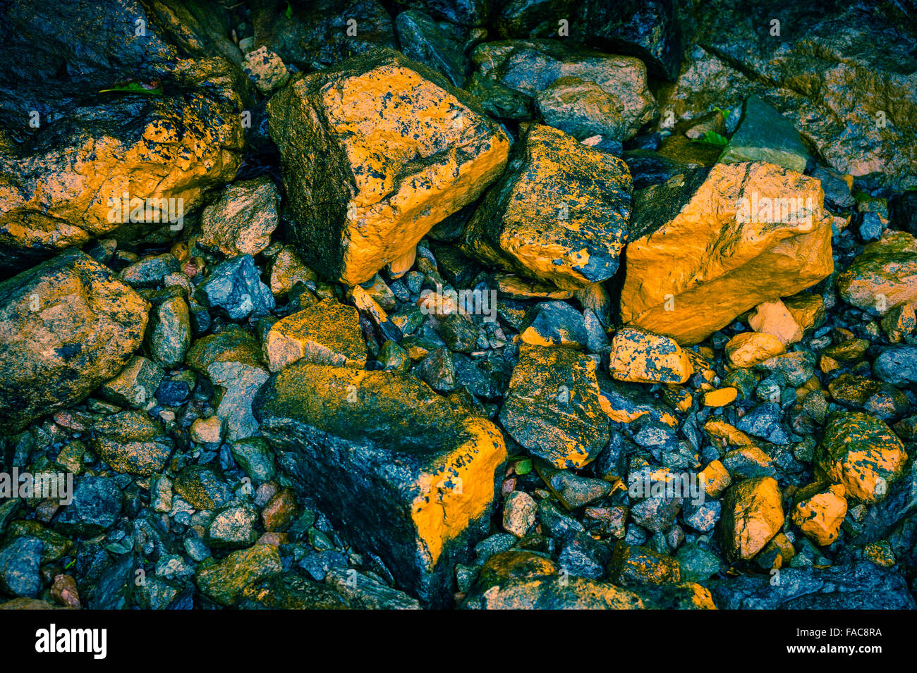 Spray painted beach rocks near Sitka, Alaska, USA Stock Photo - Alamy